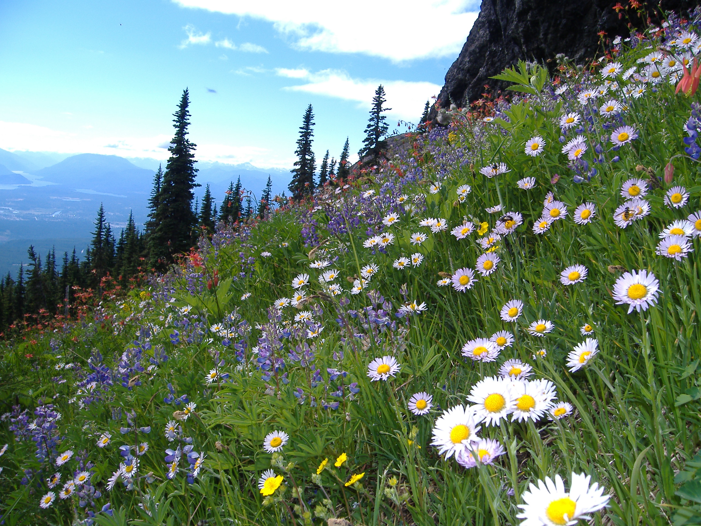 A New Release from Hope Clearlight – “Just Breathe” – ZL Greenwood